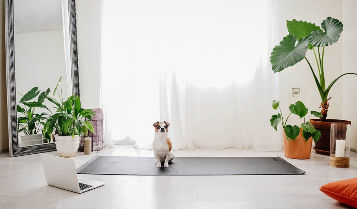 10 Brilliant Ideas for What to Do with Extra Rooms in Your Home